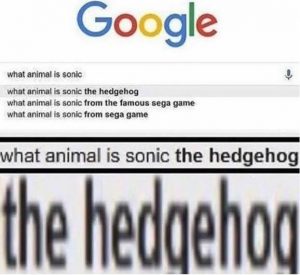 Top 175 Best Questions Meme 2024 That Science Can't Answer