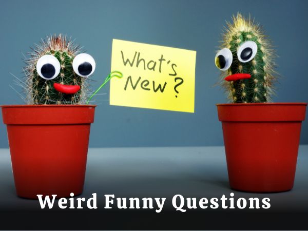 143 Weird Funny Questions To Ask A Guy & Girl
