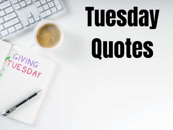 Tuesday Quotes to Kickstart Your Week: Boost Positivity and Motivation